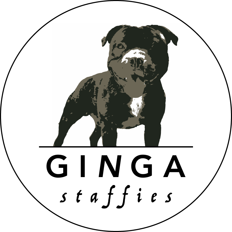 Home - GINGA staffies